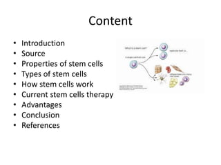 Stem cell Therapy | PPT