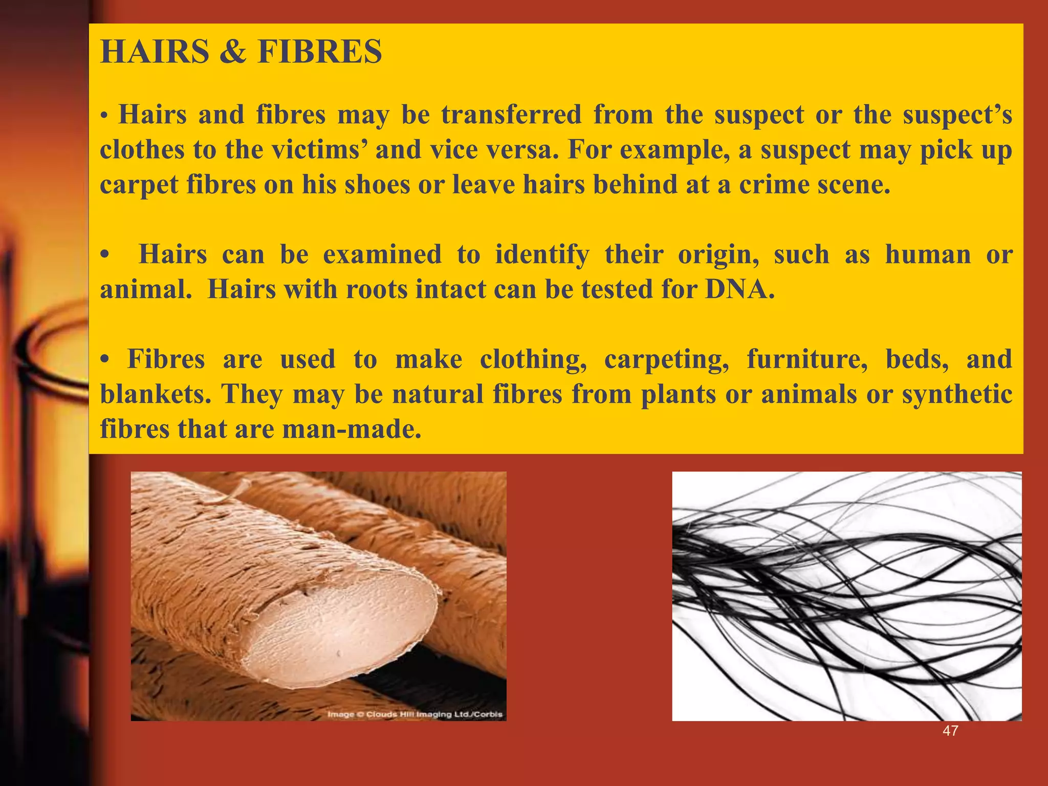 ROLE OF F.S.L IN CRIMES | PPTX