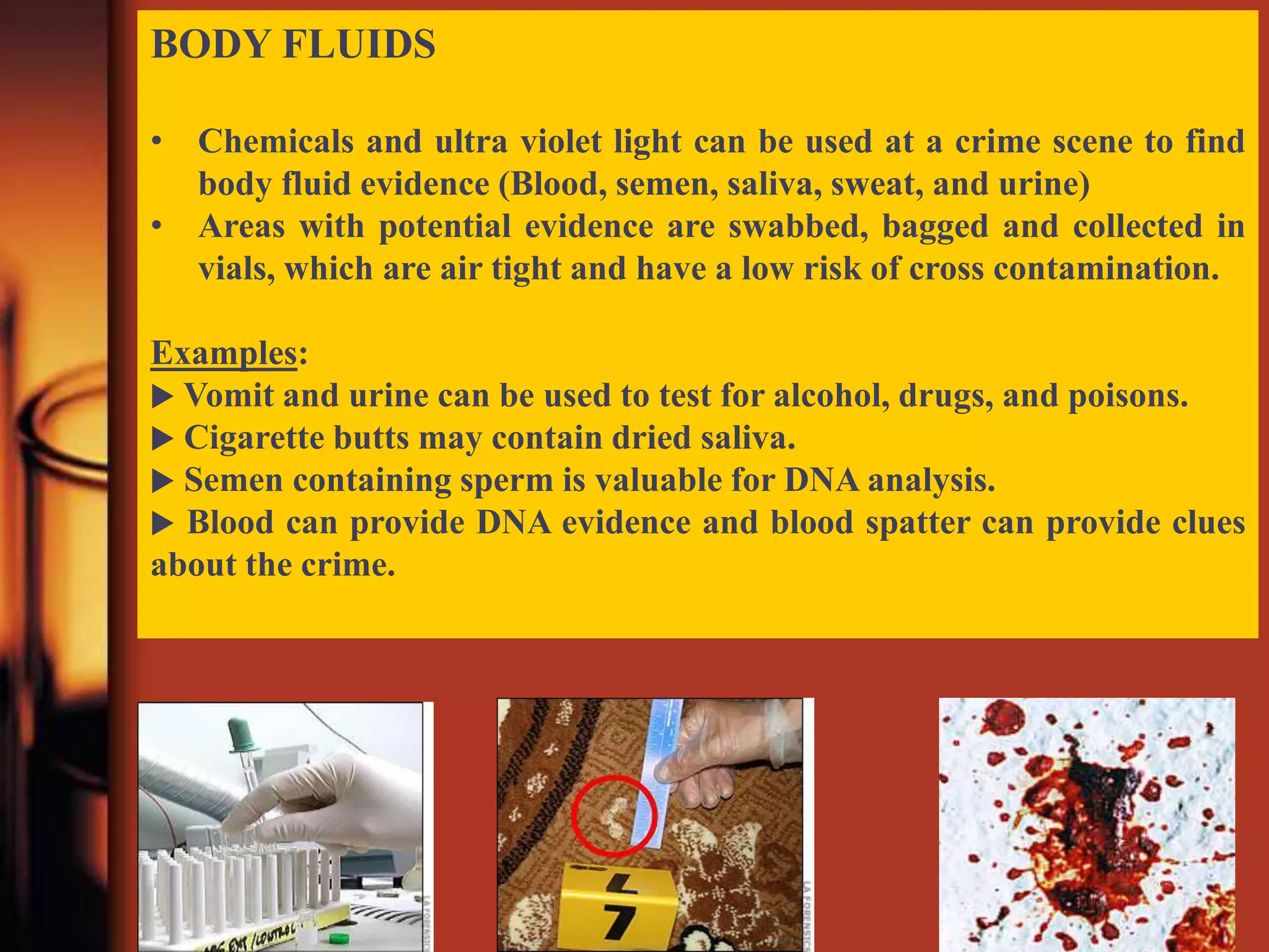 ROLE OF F.S.L IN CRIMES | PPTX