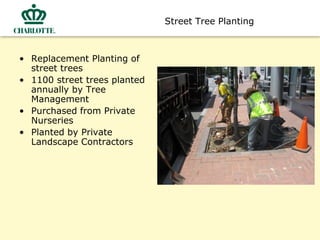 Queen City Canopy: Growing Charlotte’s Urban Forest Through Community ...