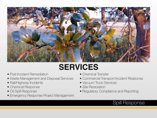 Who Is Talon/LPE? | PPT