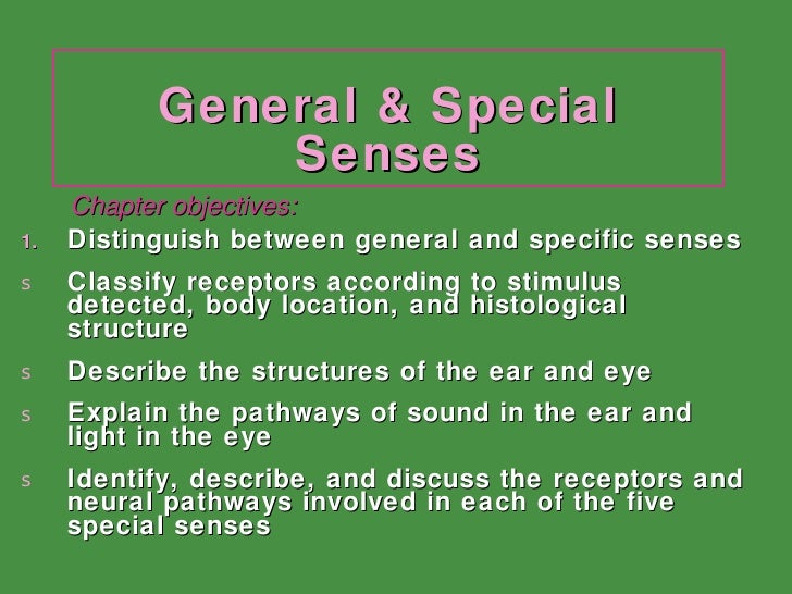 General & Special Senses