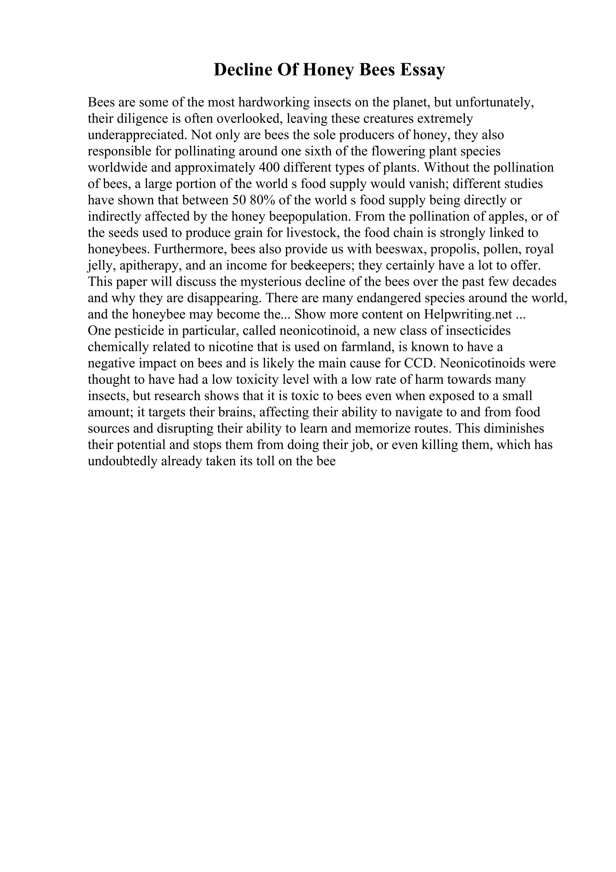 General Statement Examples For Essays | PDF