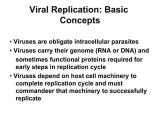 General steps in virus replication | PDF