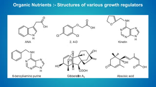 General steps of plant tissue culture and nutritional requirements ...