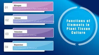 General steps of plant tissue culture and nutritional requirements ...