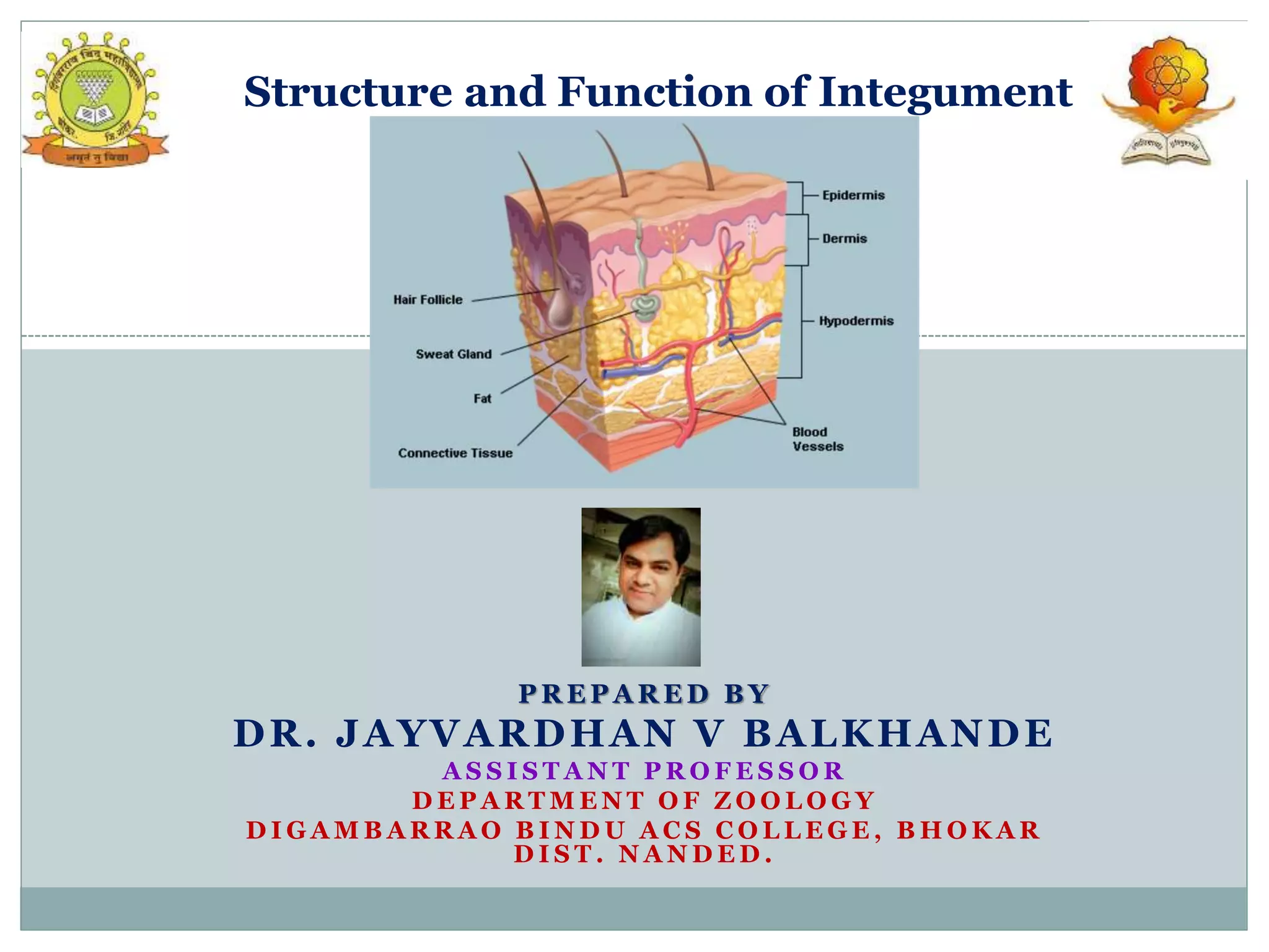 General structure and function of Integument by Dr. Jayvardhan V ...