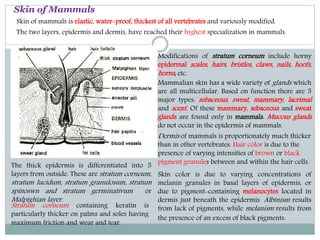 General structure and function of Integument by Dr. Jayvardhan V ...