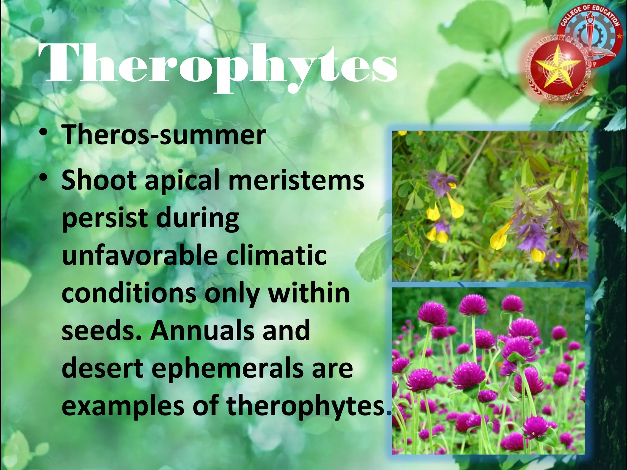 General structures of terrestrial communities | PPT