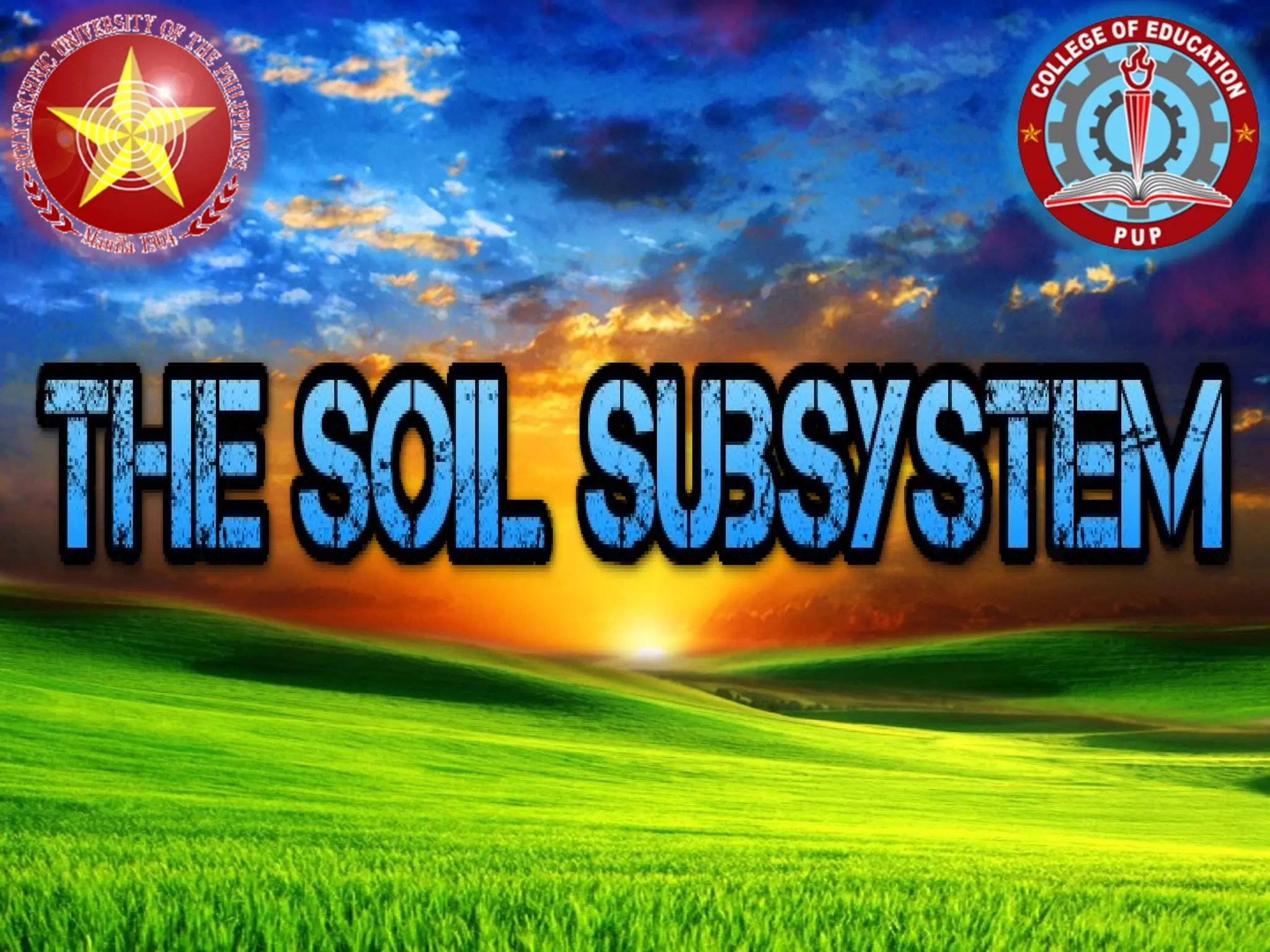 General structures of terrestrial communities | PPT