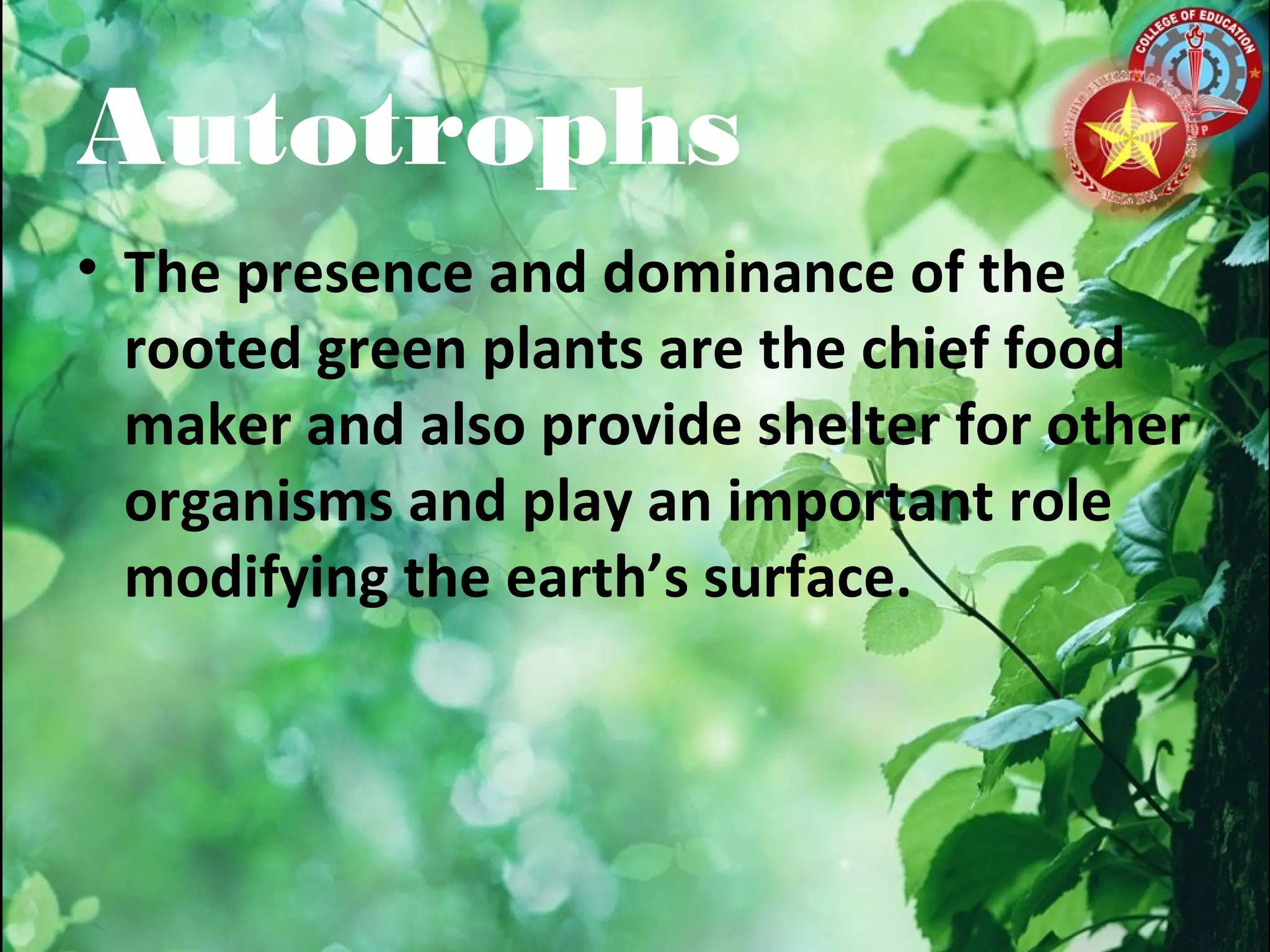General structures of terrestrial communities | PPT
