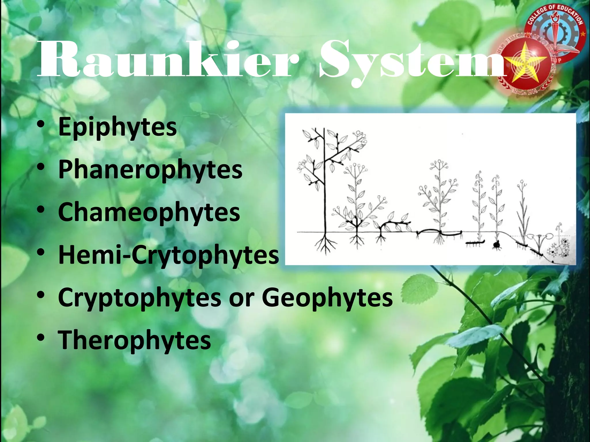 General structures of terrestrial communities | PPT