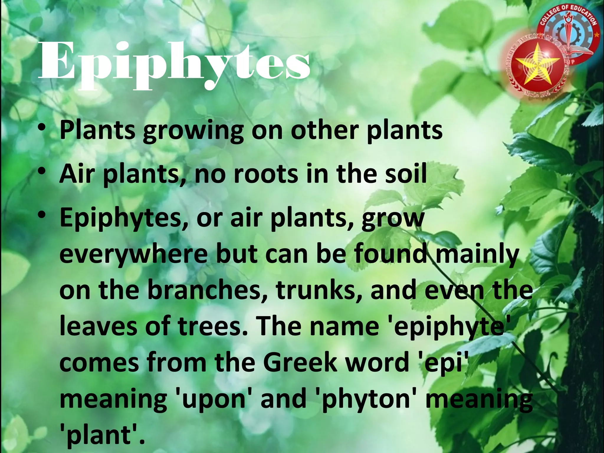 General structures of terrestrial communities | PPT