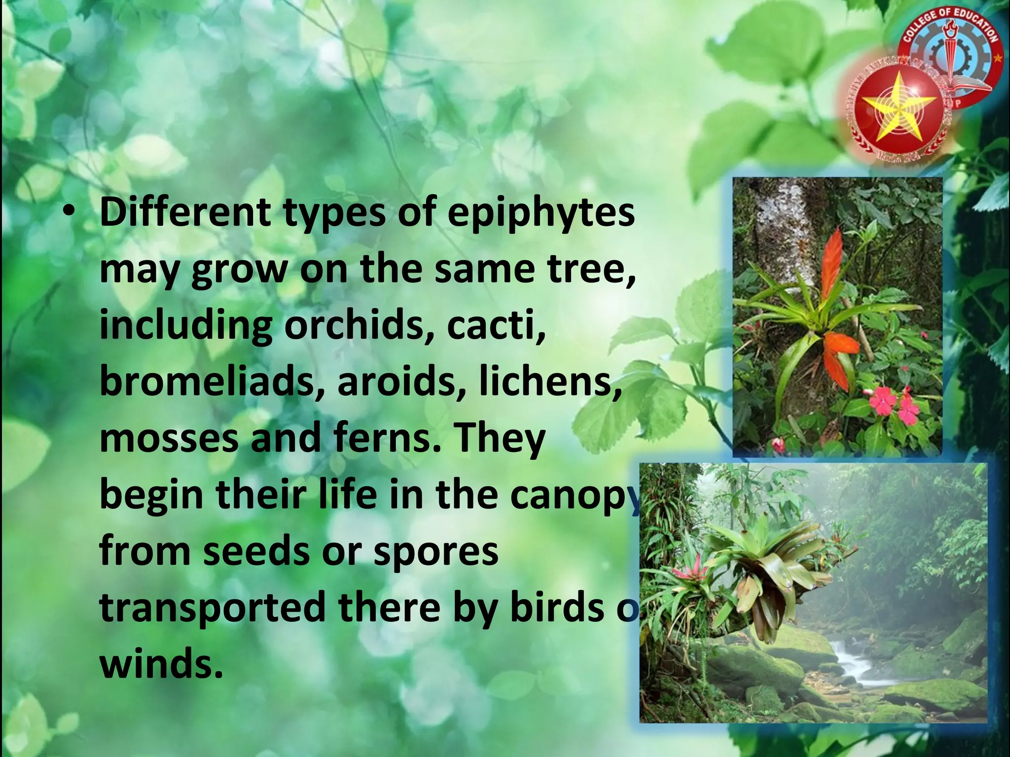 General structures of terrestrial communities | PPT