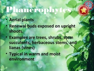 General structures of terrestrial communities | PPT