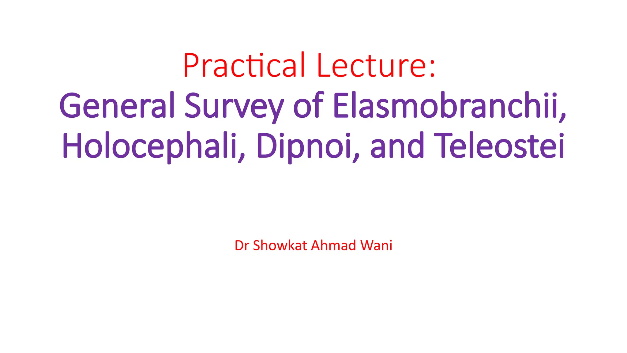 General_Survey_of_Elasmobranchii,_Holocephali,_Dipnoi,_and_Teleostei[1 ...