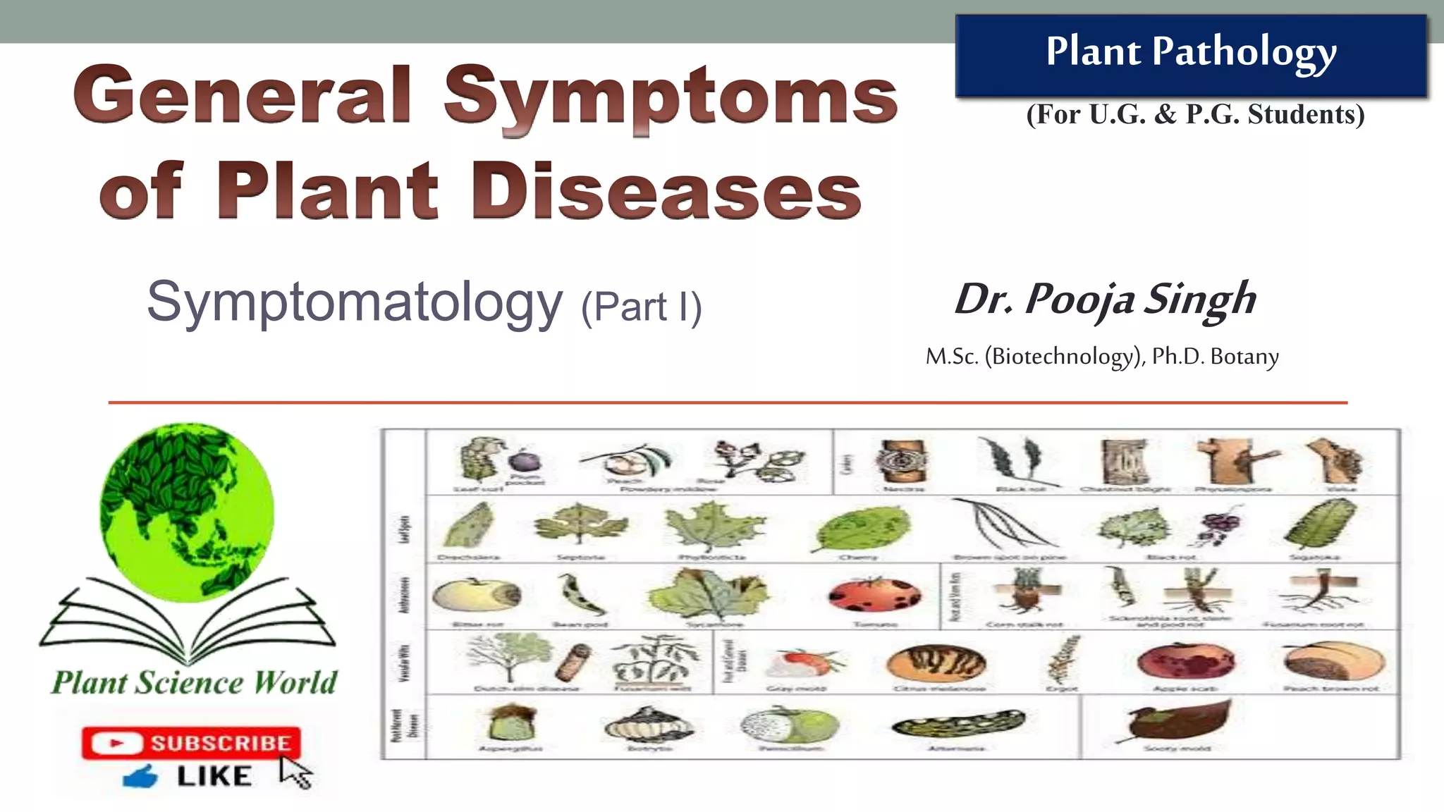 General Symptoms of Plant Diseases.pptx