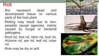 General Symptoms of Plant Diseases.pptx