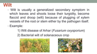 General Symptoms of Plant Diseases.pptx