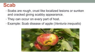 General Symptoms of Plant Diseases.pptx