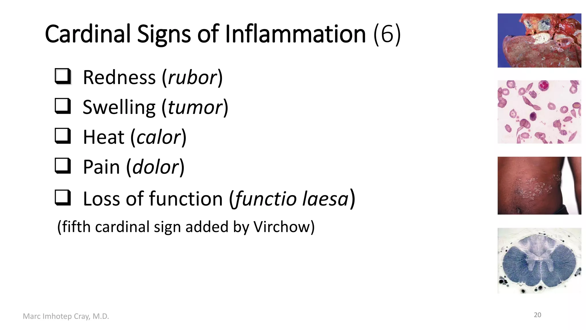 General and Systemic Pathology Concepts-A Global Overview | PDF