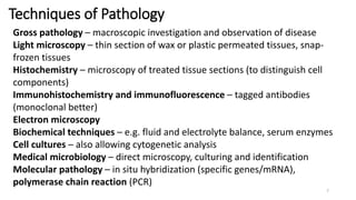 General and Systemic Pathology Concepts-A Global Overview | PDF