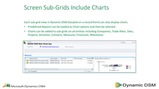 Dynamic DSM - General Usage | PPT