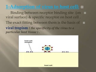 General virology | PPSX