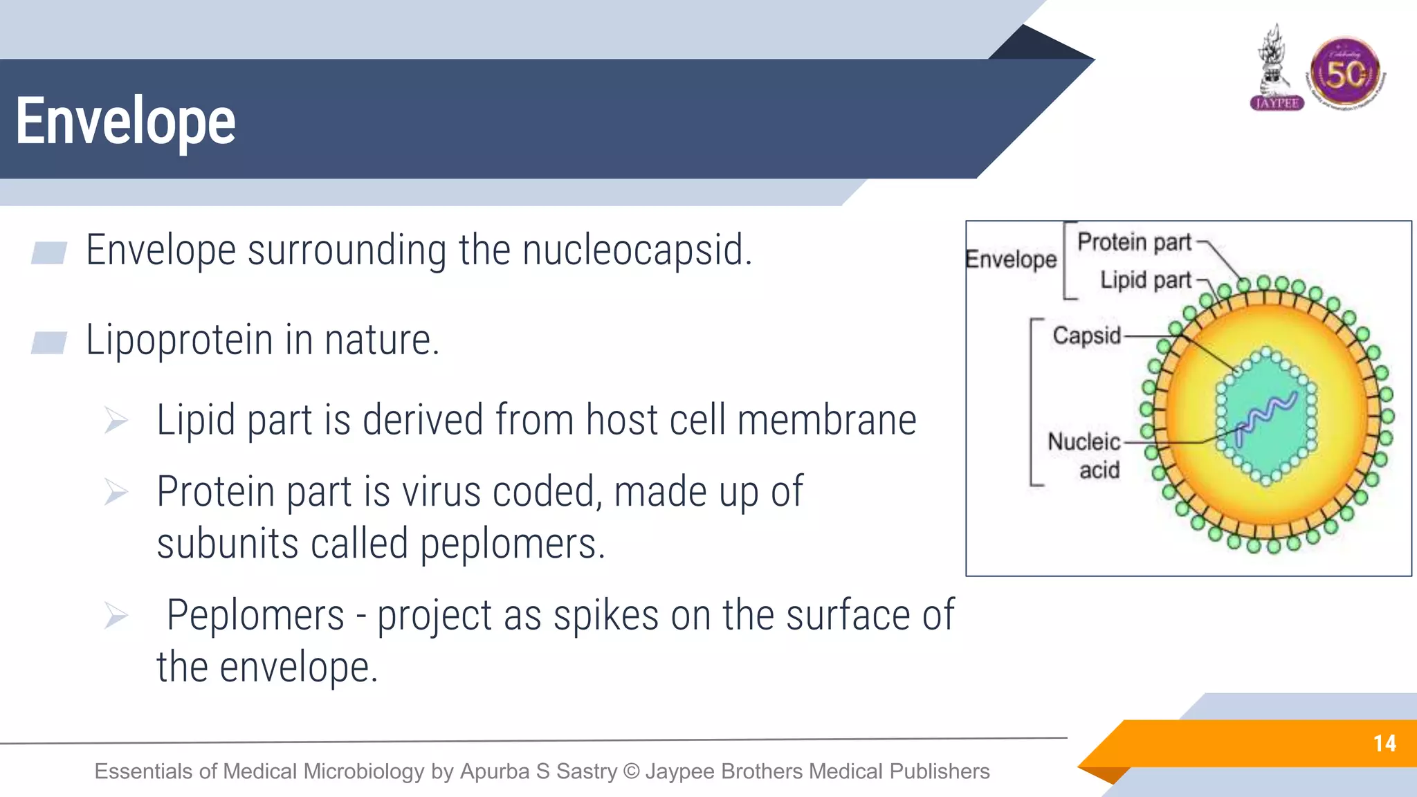 General Virology- RNA viruses | PPTX | Infectious Diseases | Diseases and Conditions