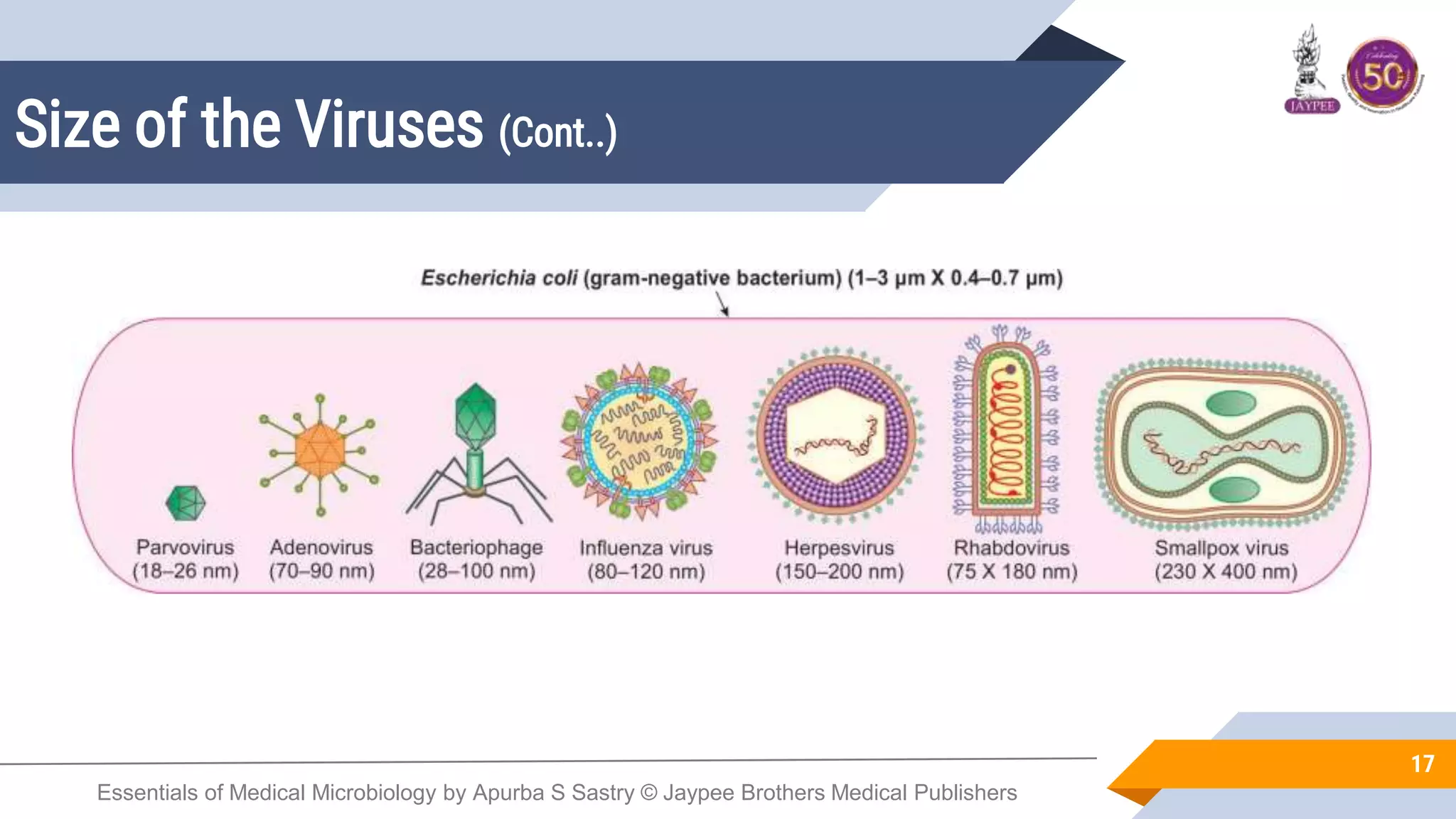 General Virology- RNA viruses | PPTX | Infectious Diseases | Diseases and Conditions