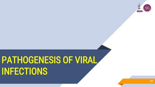 General Virology- RNA viruses | PPTX | Infectious Diseases | Diseases ...