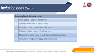 General Virology- RNA viruses | PPTX