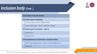 General Virology- RNA viruses | PPTX