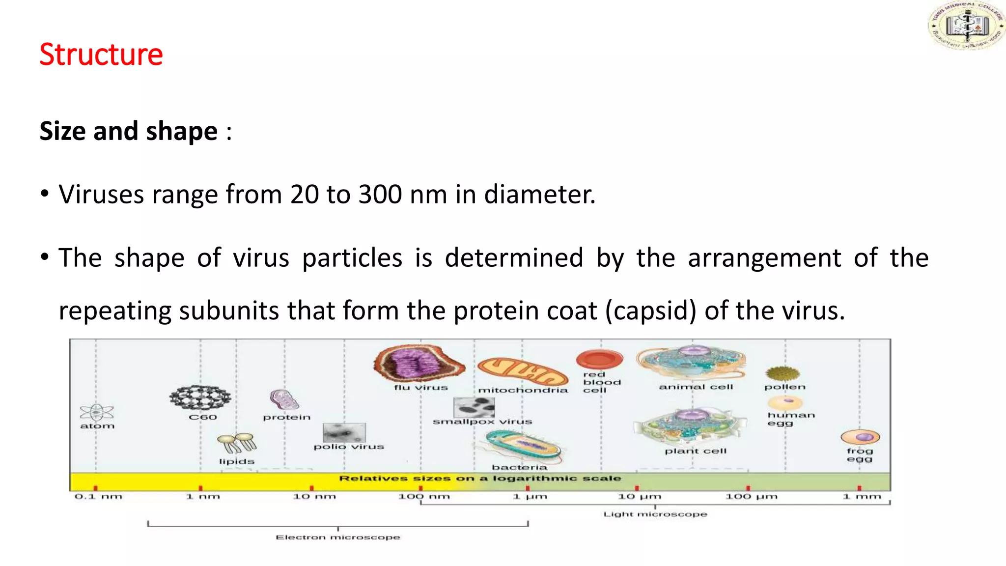 General virology,Introduction, structure,classification - Copy.pptx