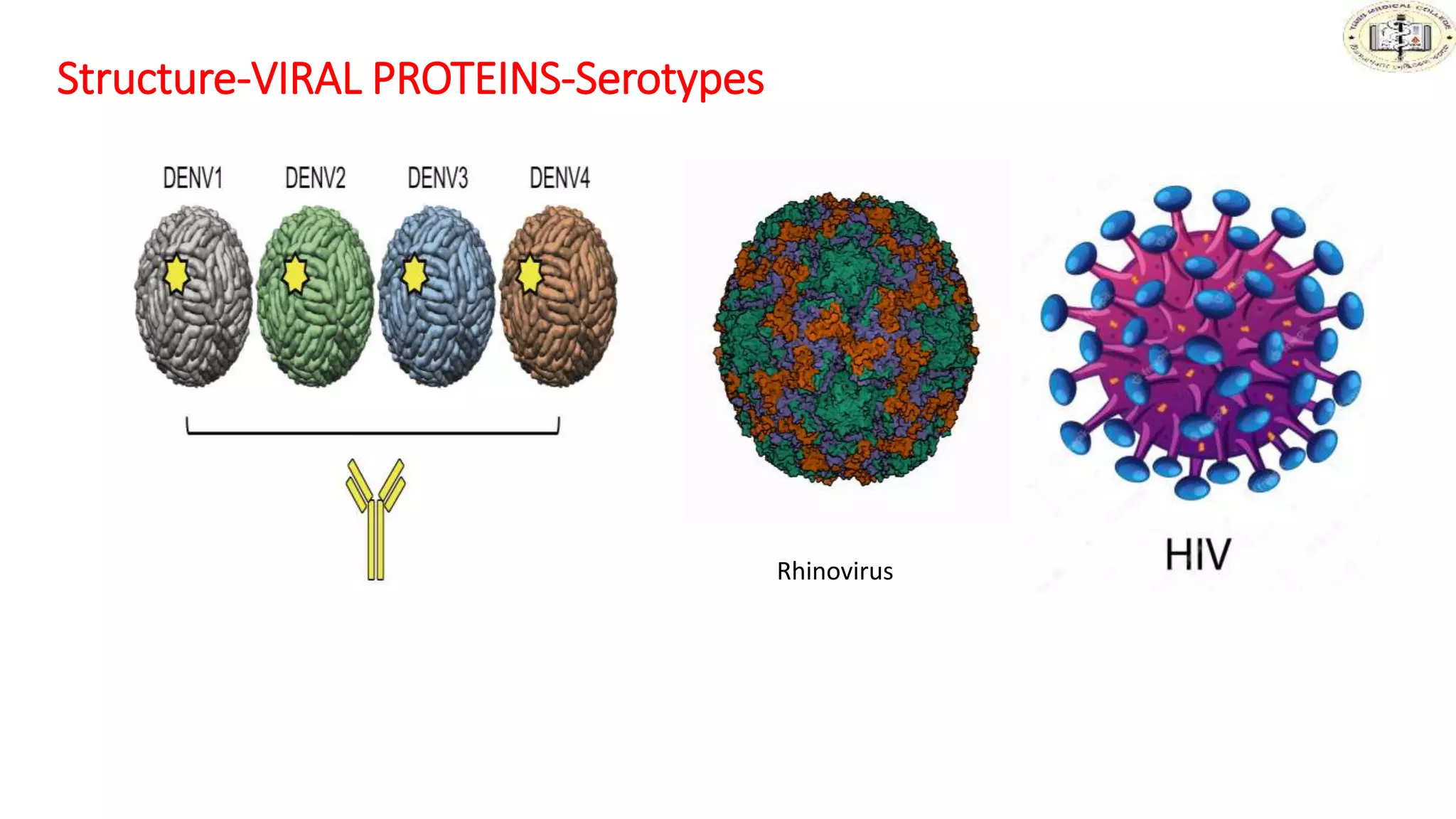 General virology,Introduction, structure,classification - Copy.pptx