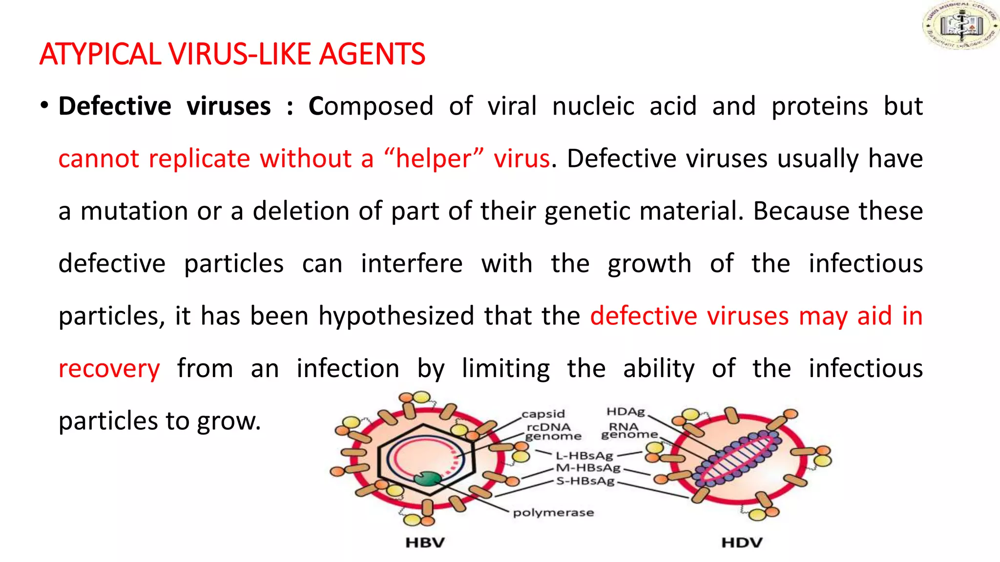 General virology,Introduction, structure,classification - Copy.pptx