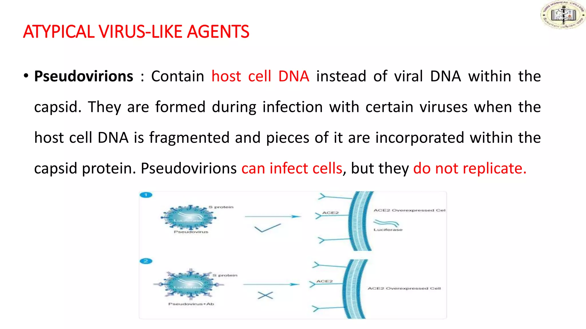 General virology,Introduction, structure,classification - Copy.pptx
