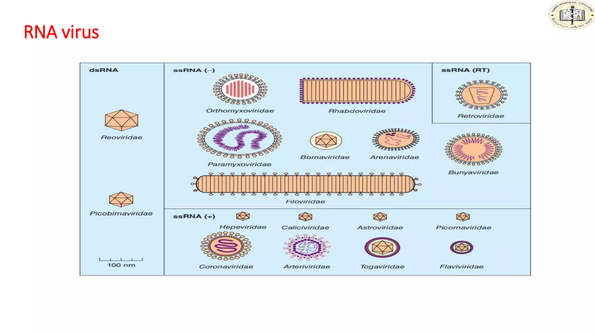General virology,Introduction, structure,classification - Copy.pptx