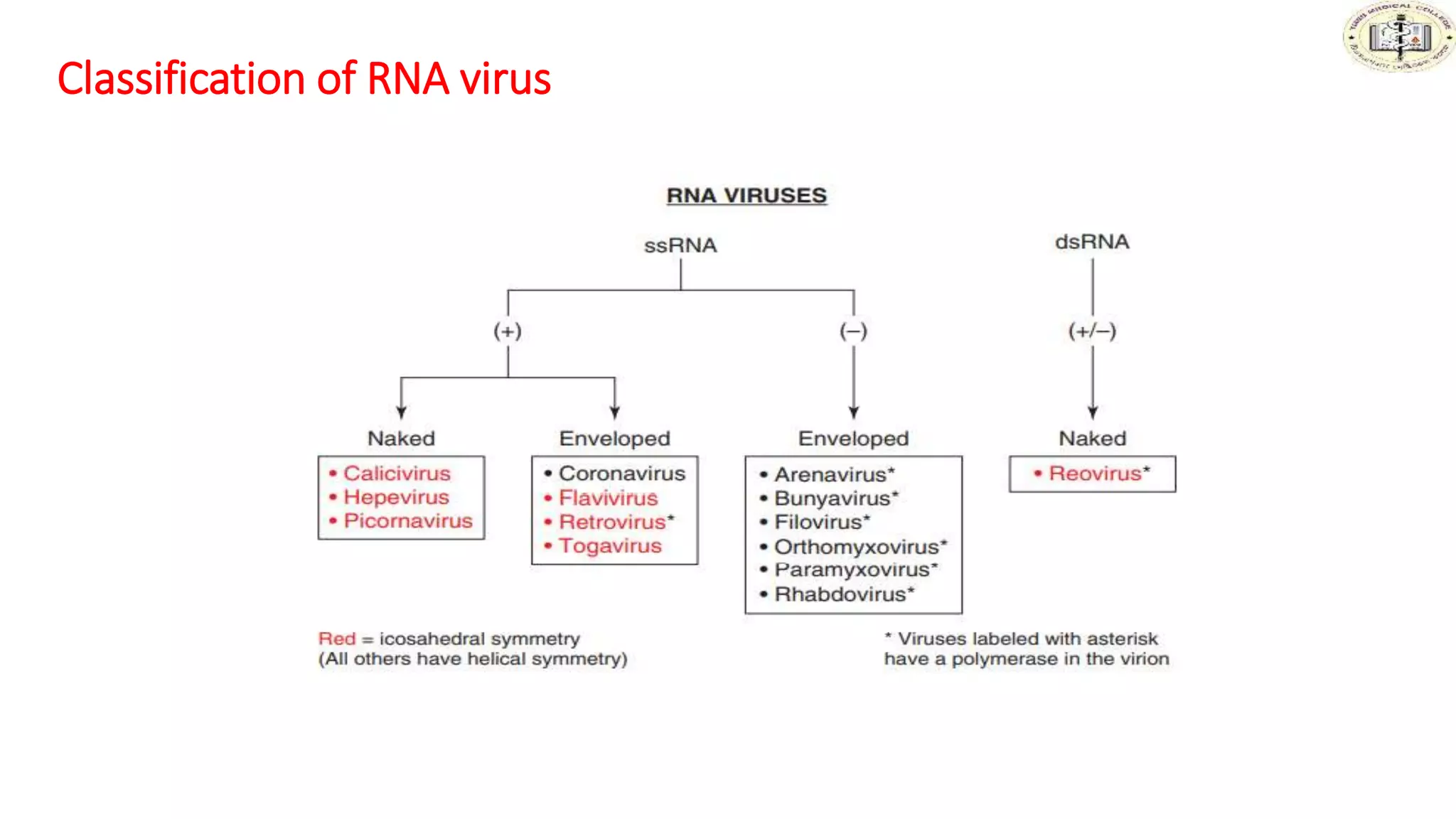 General virology,Introduction, structure,classification - Copy.pptx
