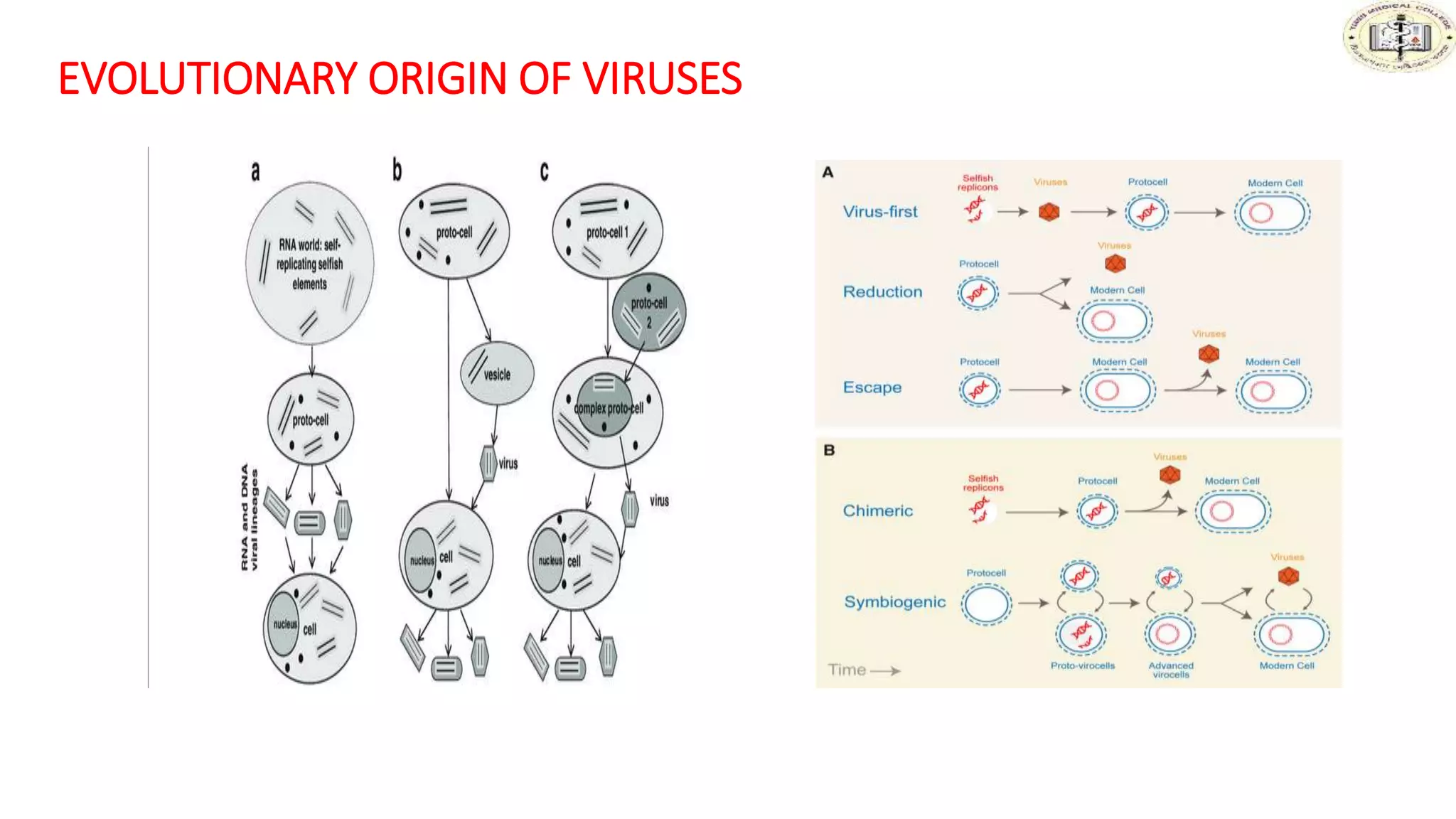 General virology,Introduction, structure,classification - Copy.pptx