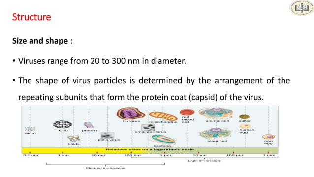 General virology,Introduction, structure,classification - Copy.pptx