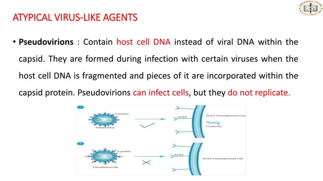 General virology,Introduction, structure,classification - Copy.pptx