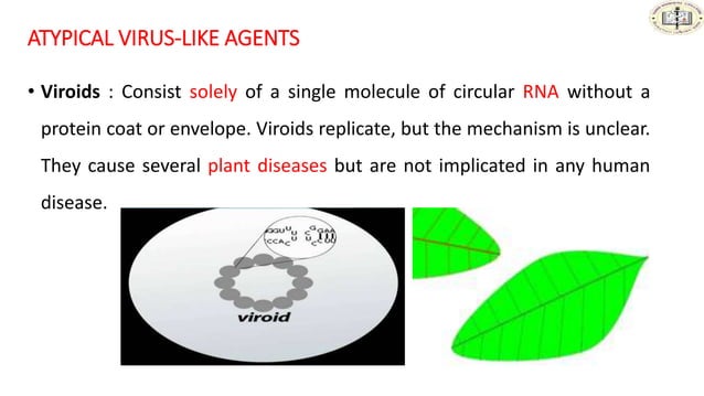 General virology,Introduction, structure,classification - Copy.pptx