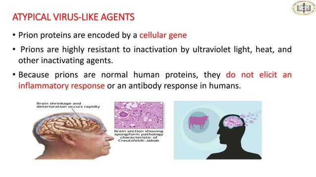 General virology,Introduction, structure,classification - Copy.pptx