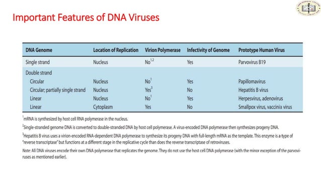 General virology,Introduction, structure,classification - Copy.pptx