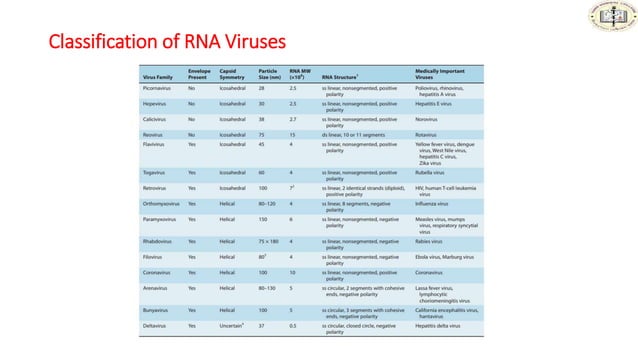 General virology,Introduction, structure,classification - Copy.pptx