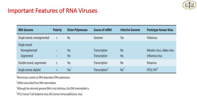 General virology,Introduction, structure,classification - Copy.pptx