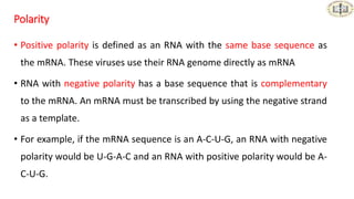 General virology,Introduction, structure,classification - Copy.pptx
