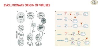 General virology,Introduction, structure,classification - Copy.pptx