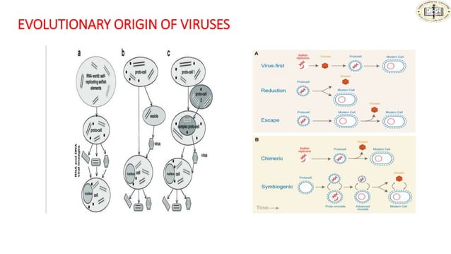 General virology,Introduction, structure,classification - Copy.pptx